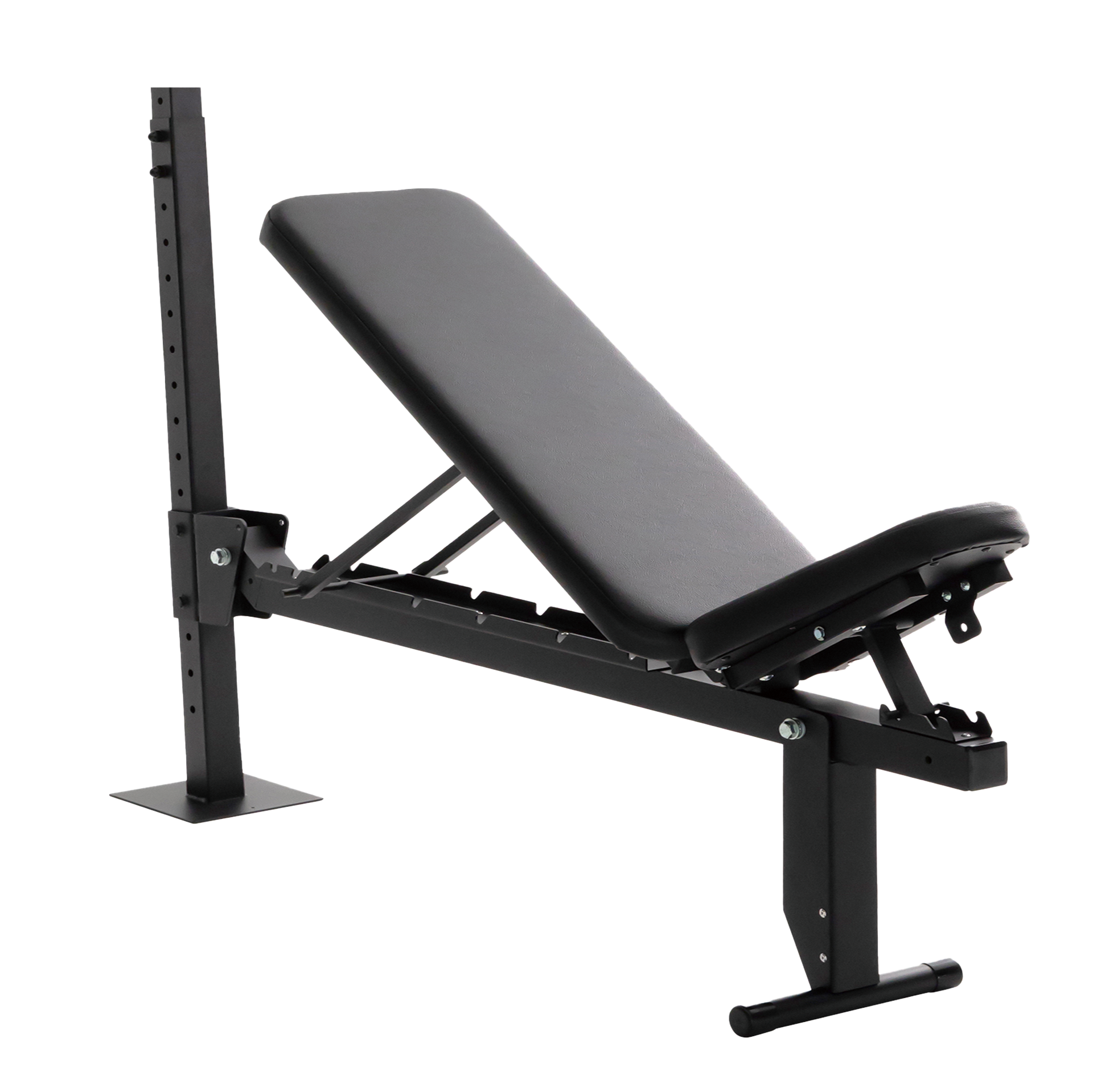 トレーニングベンチ – TEDDY WORKS